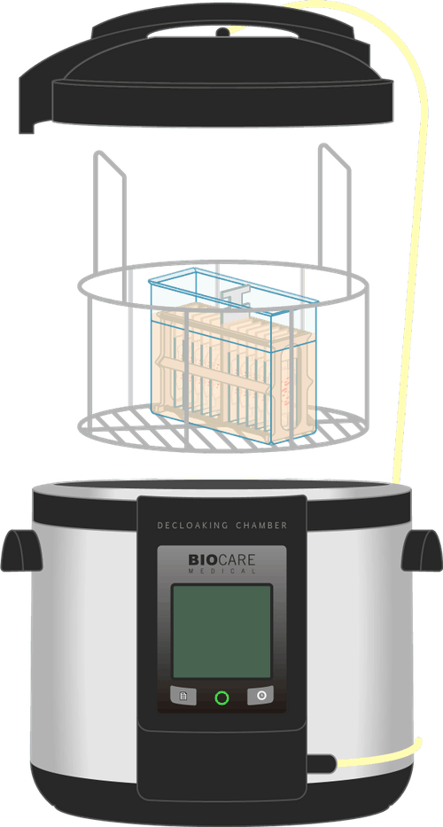 IHQ segunda etapa: recuperación de antígenos