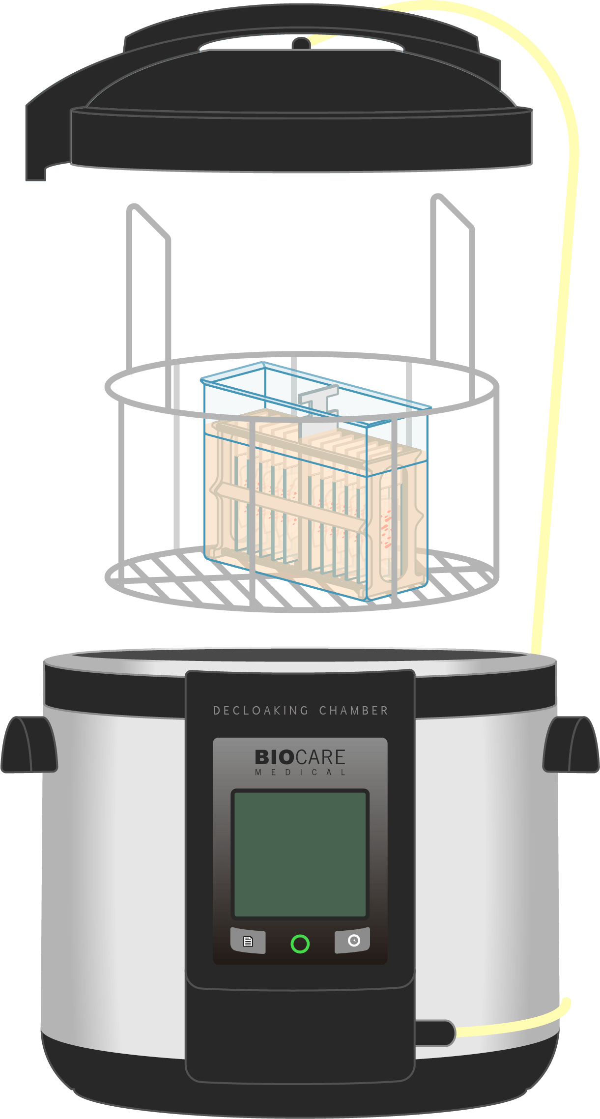 IHQ segunda etapa: recuperación de antígenos