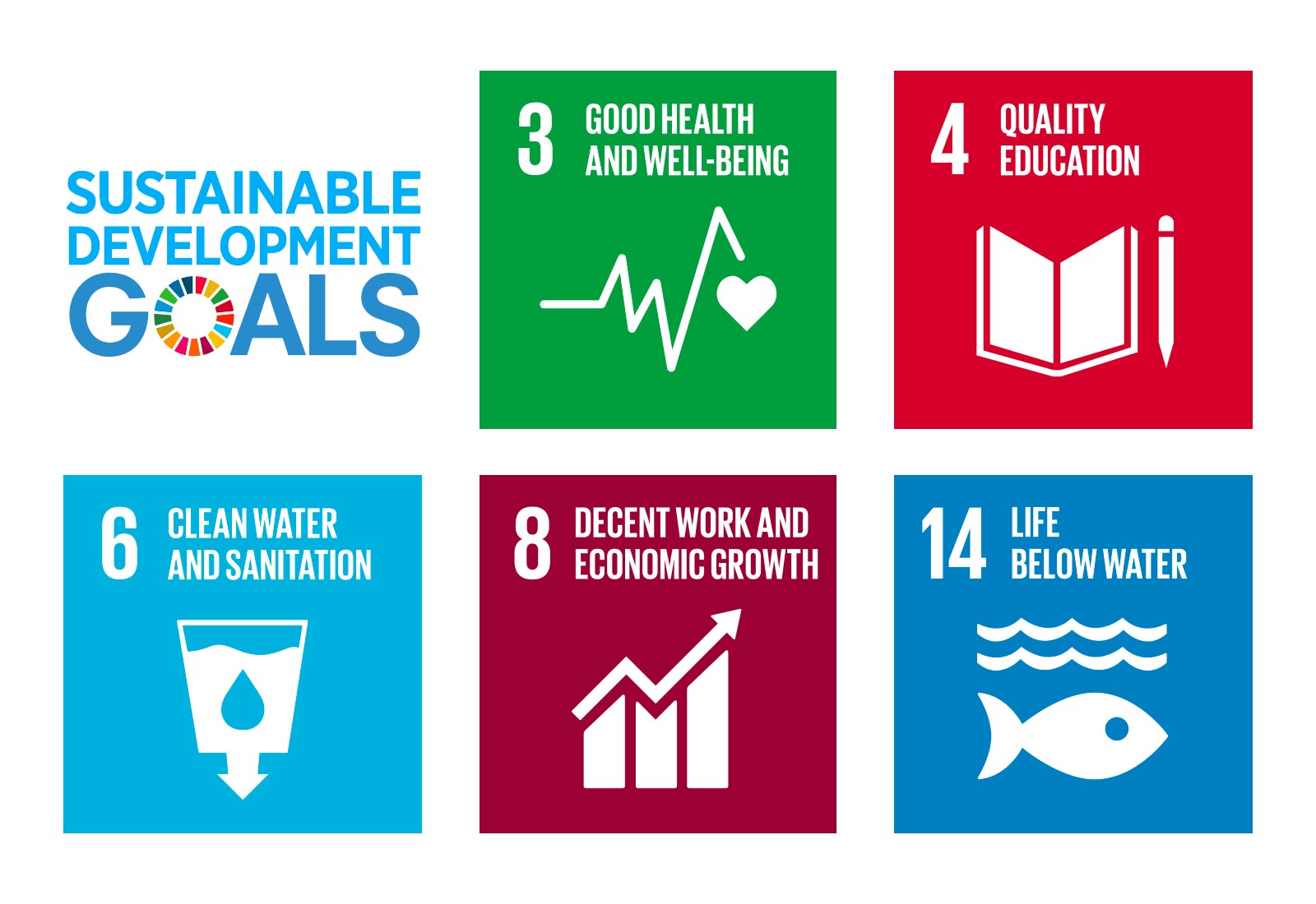 Sustainability at RWMT – UN Global Goals