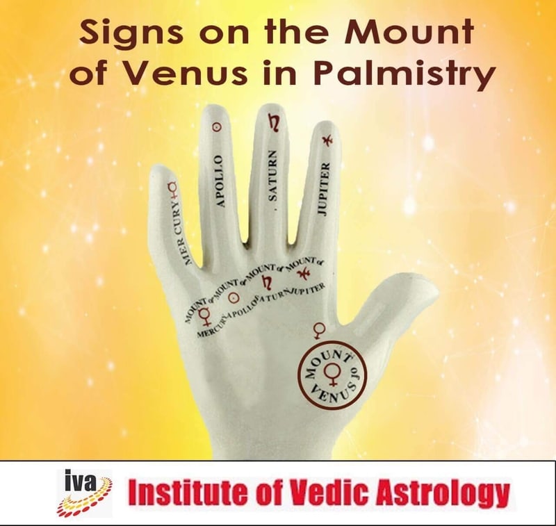 Signs on mount of Venus palmistry | IVA India - Blog