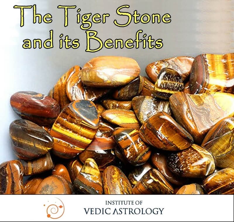 The Tiger Stone and its benefits | IVA India - Blog
