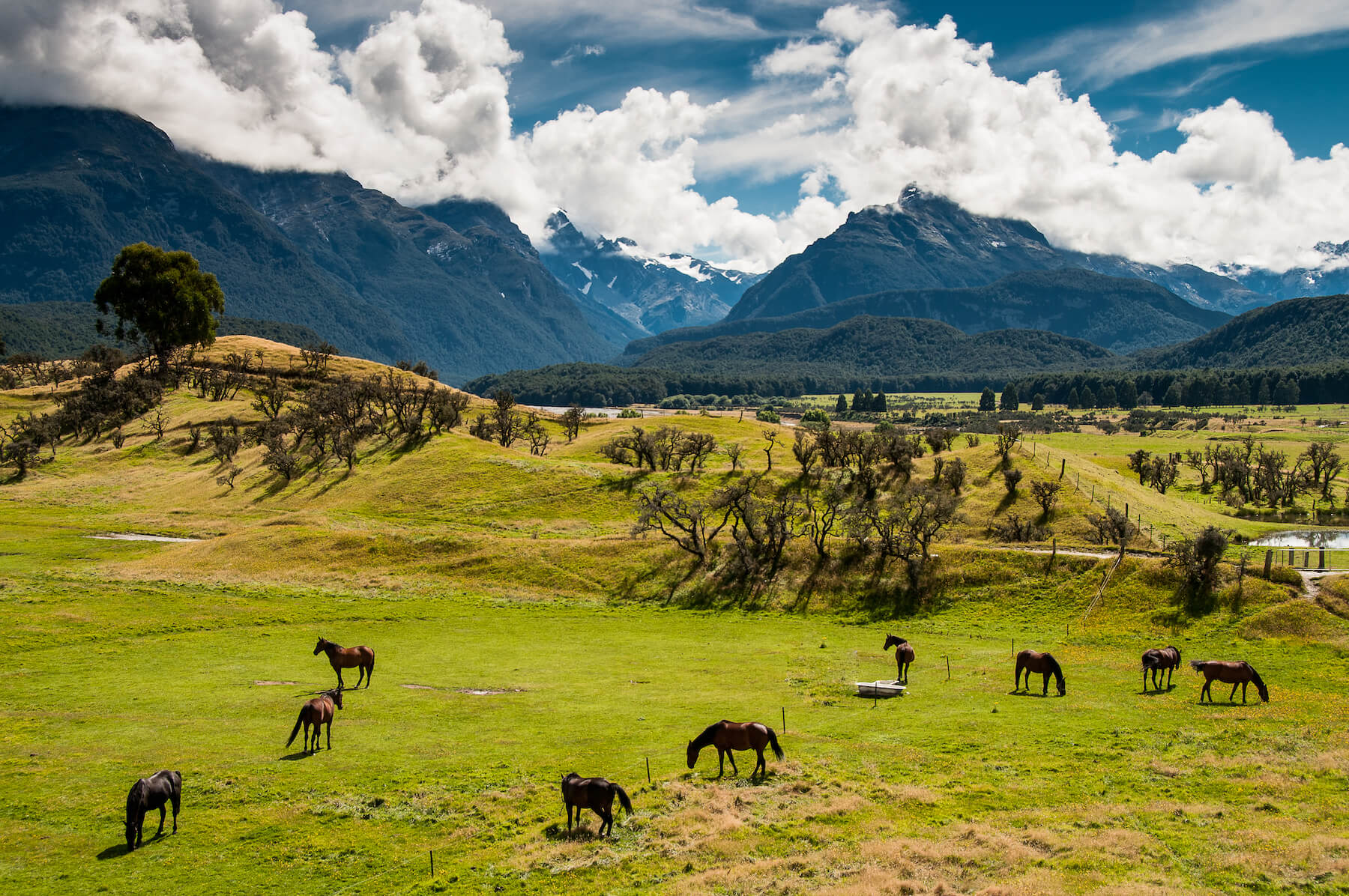 Ultimate in Paradise | Adventures in Paradise