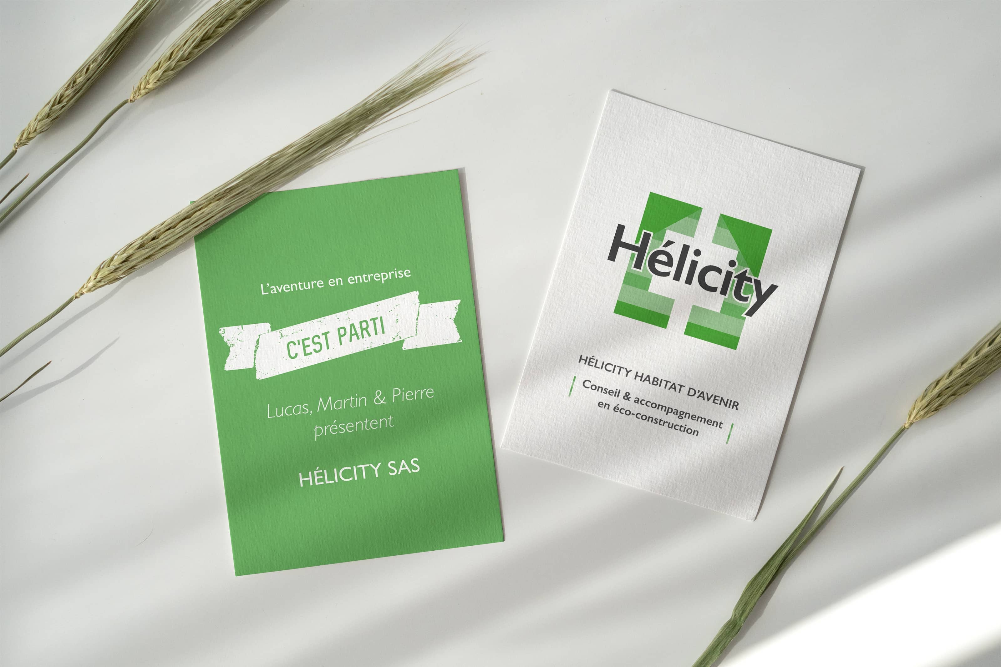 Helicity - Histoire