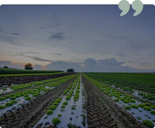 AguroTech | Data Platform for Farming