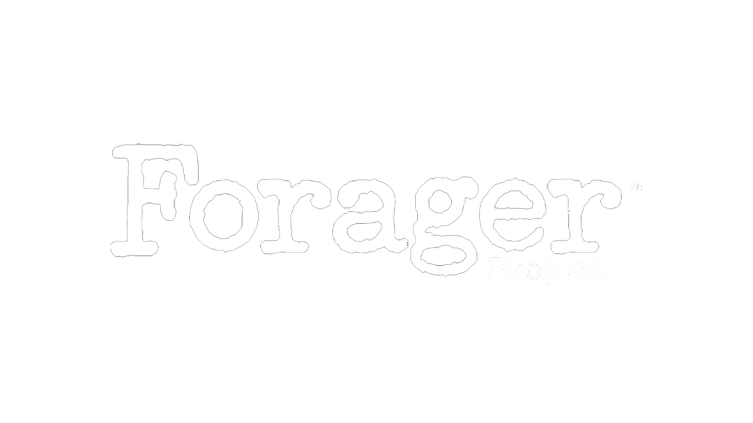 Fearless | Social Impact Agency