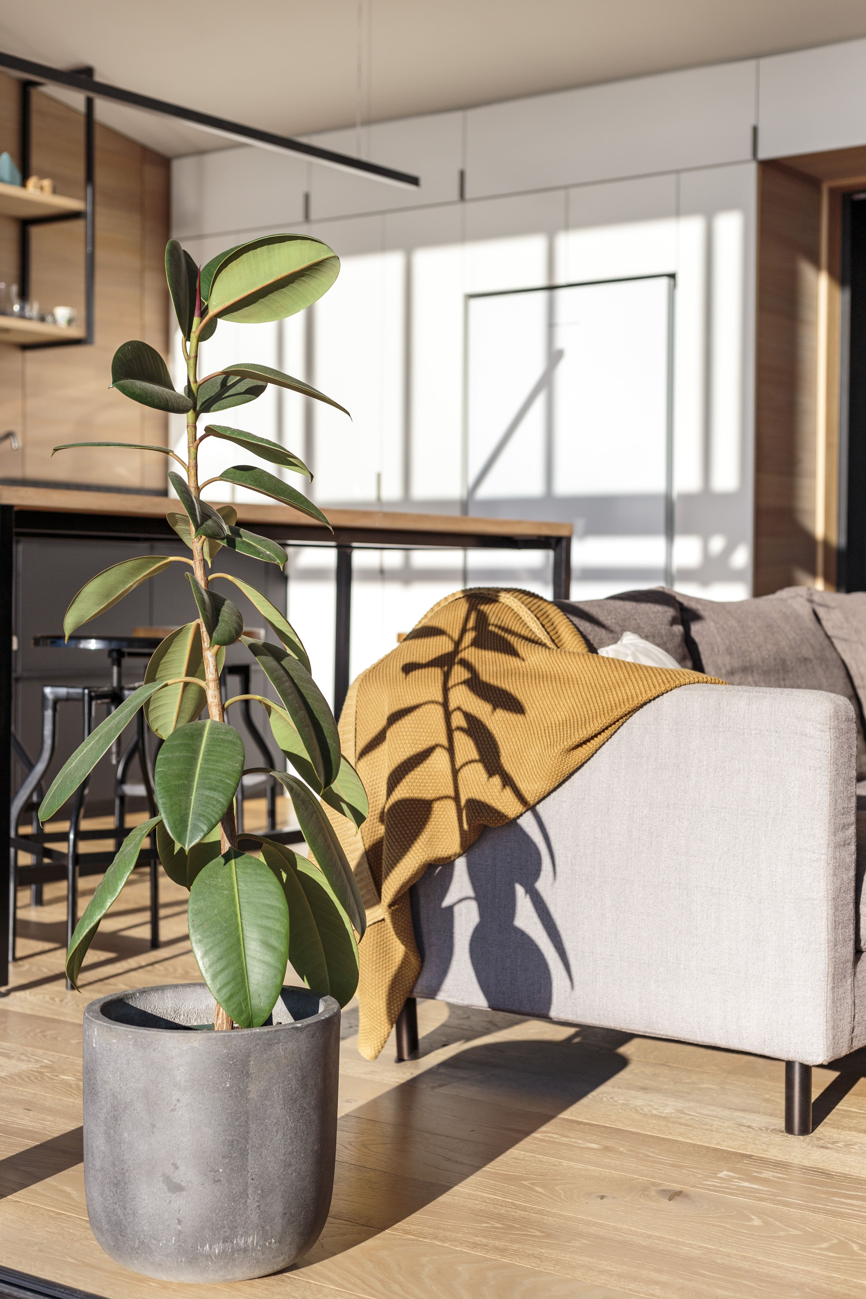 Geoff Read Builders and Joiners