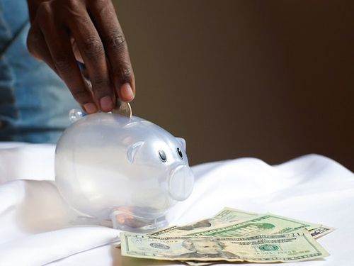 How Much Does Vet School Cost What You ll Pay In Tuition