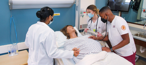 BSN Degree: What You Need to Know