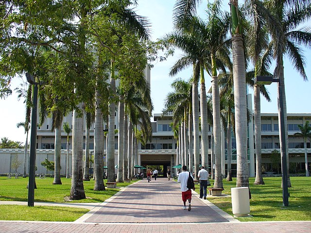 How To Get Into The Best Medical Schools In Florida
