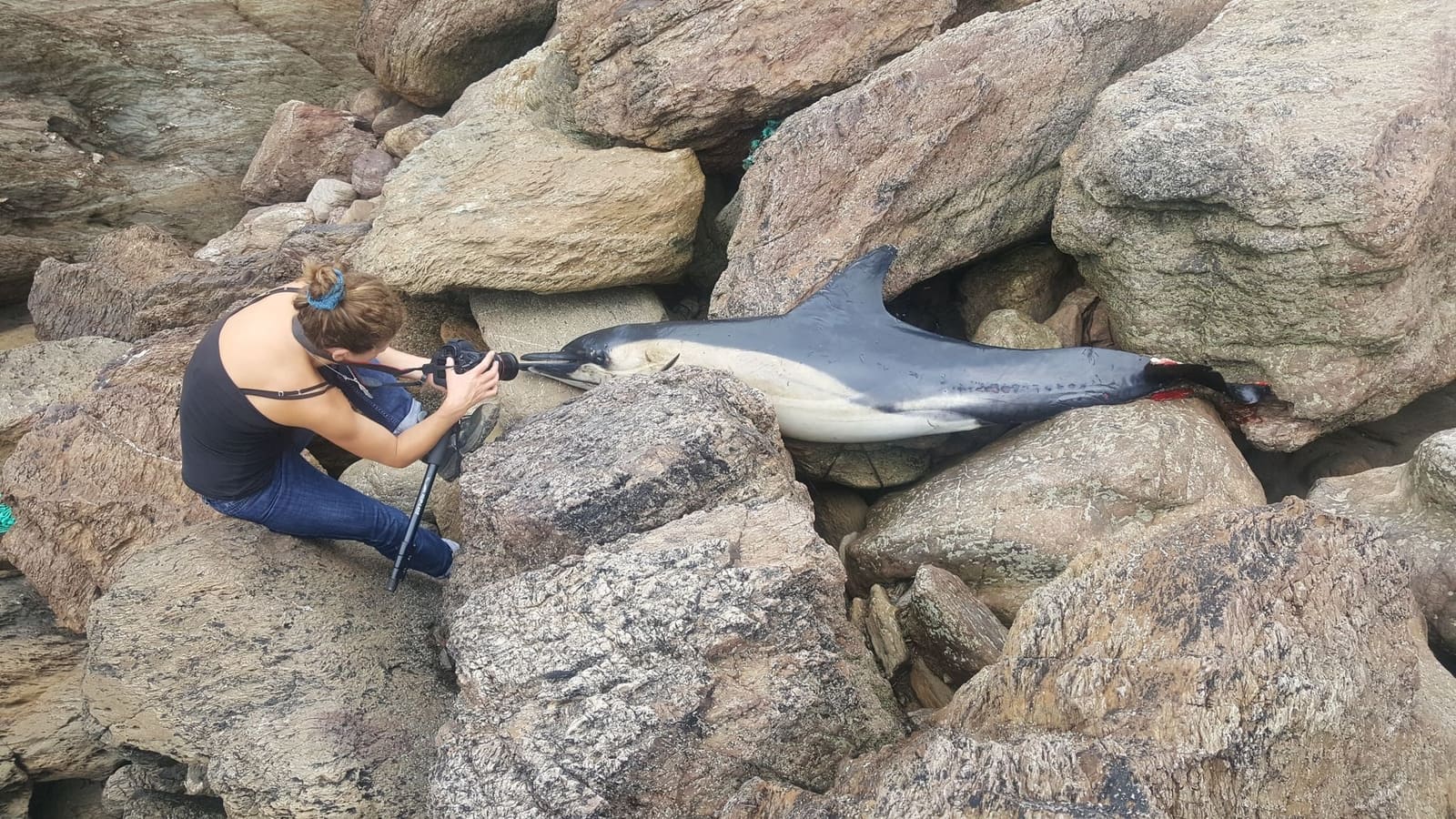 Cornwall Climate Care - a series of documentaries