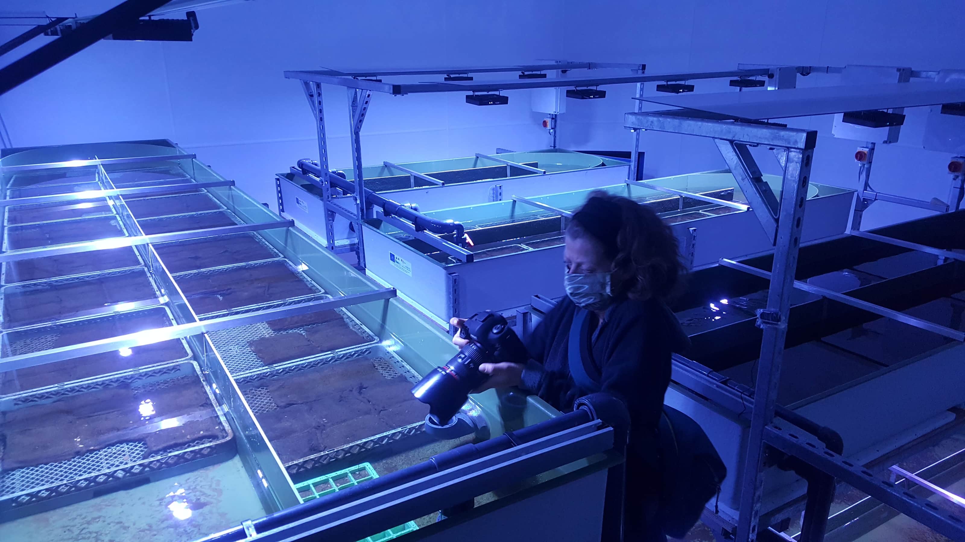 Cornwall Climate Care - a series of documentaries