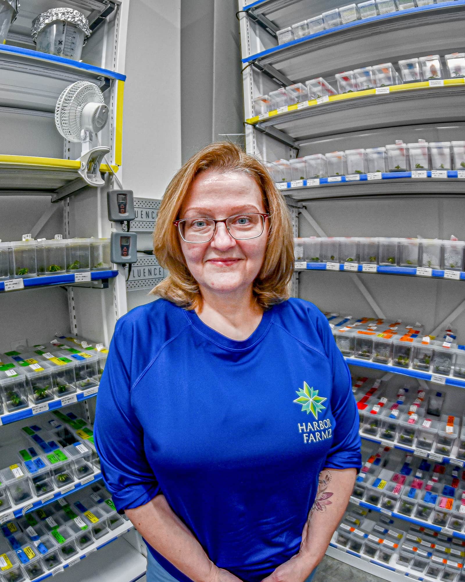 Harbor Farmz Michigans Finest Cannabis