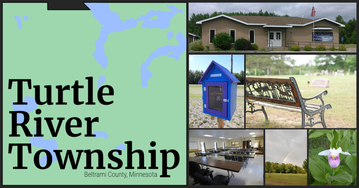 Turtle River Township in Beltrami County, Minnesota