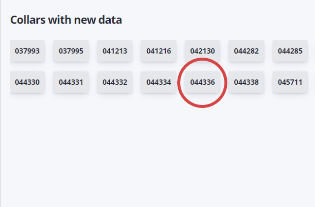 Collar Data Overview