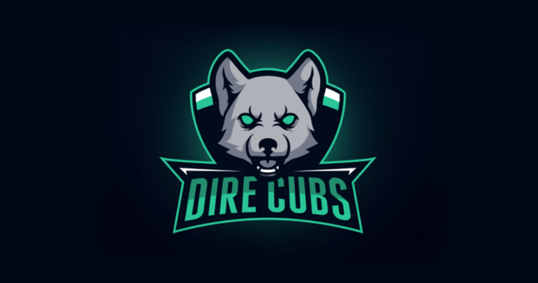 Dire Wolves Launch Academy Team | Dire Wolves