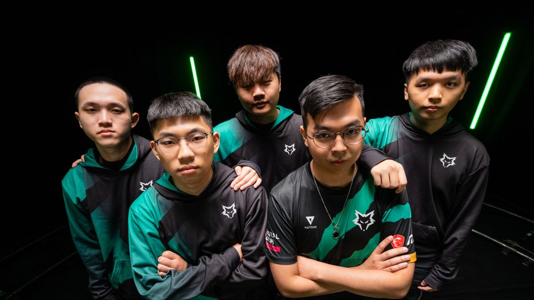 Dire Wolves | Premier esports organisation