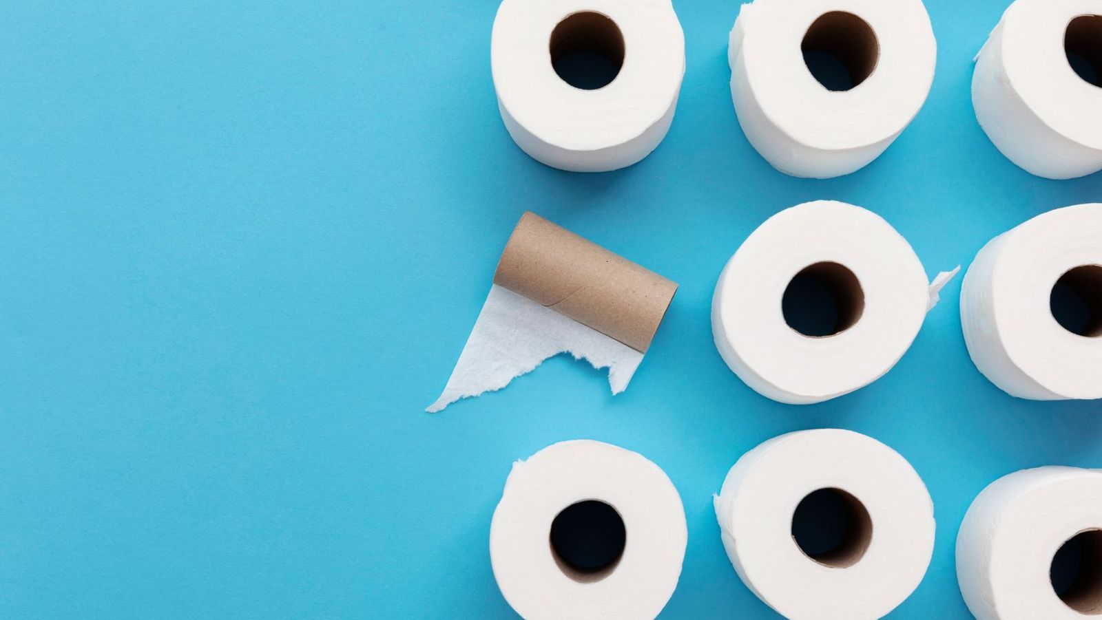 The Evolution of Toilet Paper | Woosh Washrooms