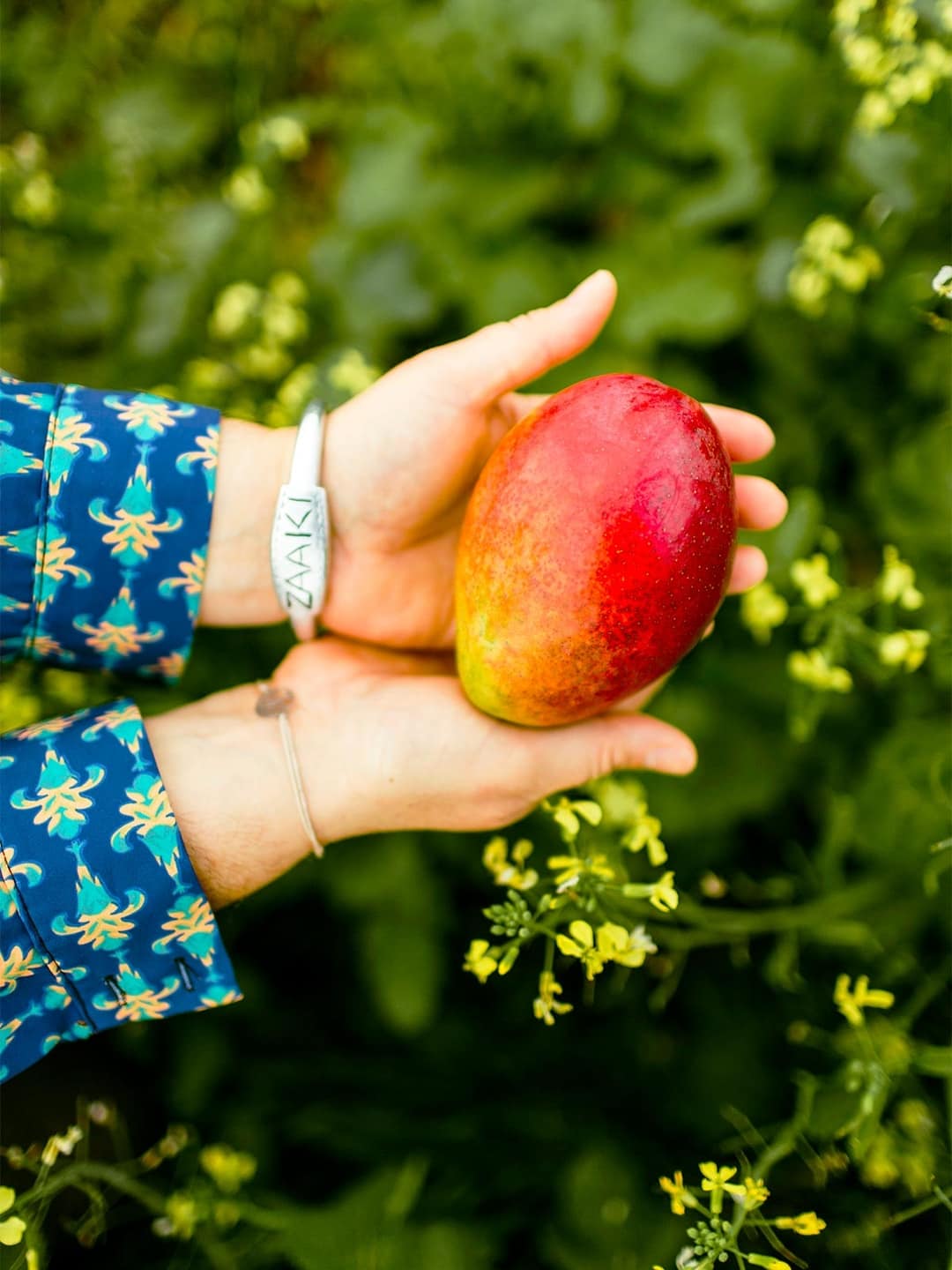 Mango Family — Aminu Initiative