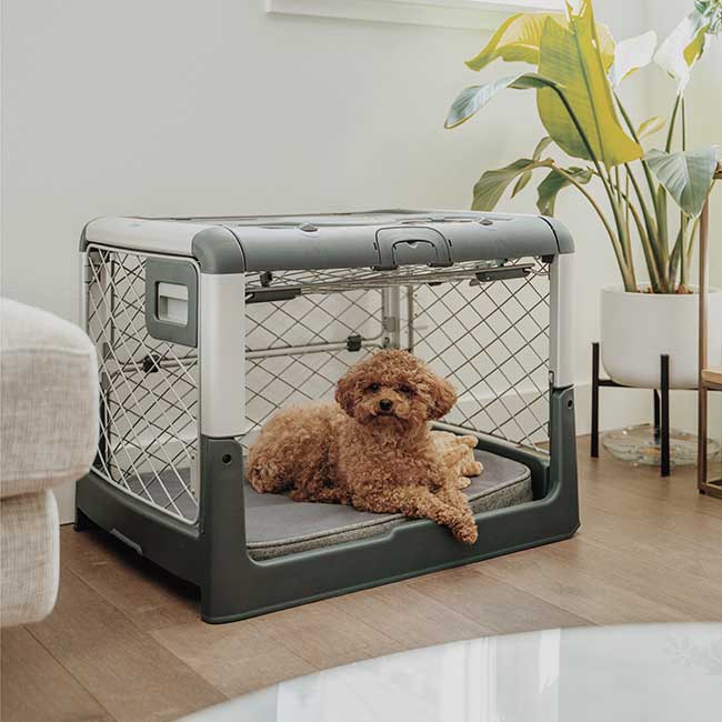 America ByDesign | Innovations | Diggs Revol Dog Crate