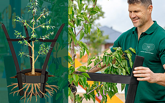 Australia ByDesign | Innovations | Tree Coach