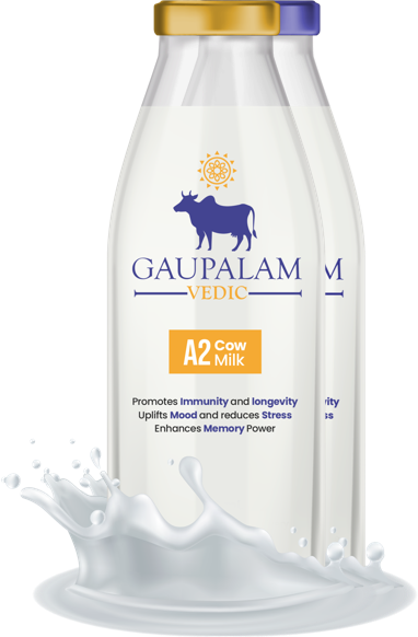 Fresh A2 Milk Delivered At Your Doorstep