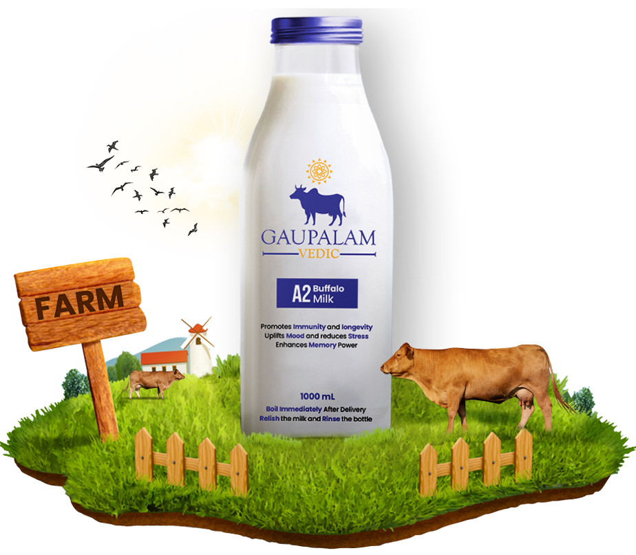 Buffalo Milk Products