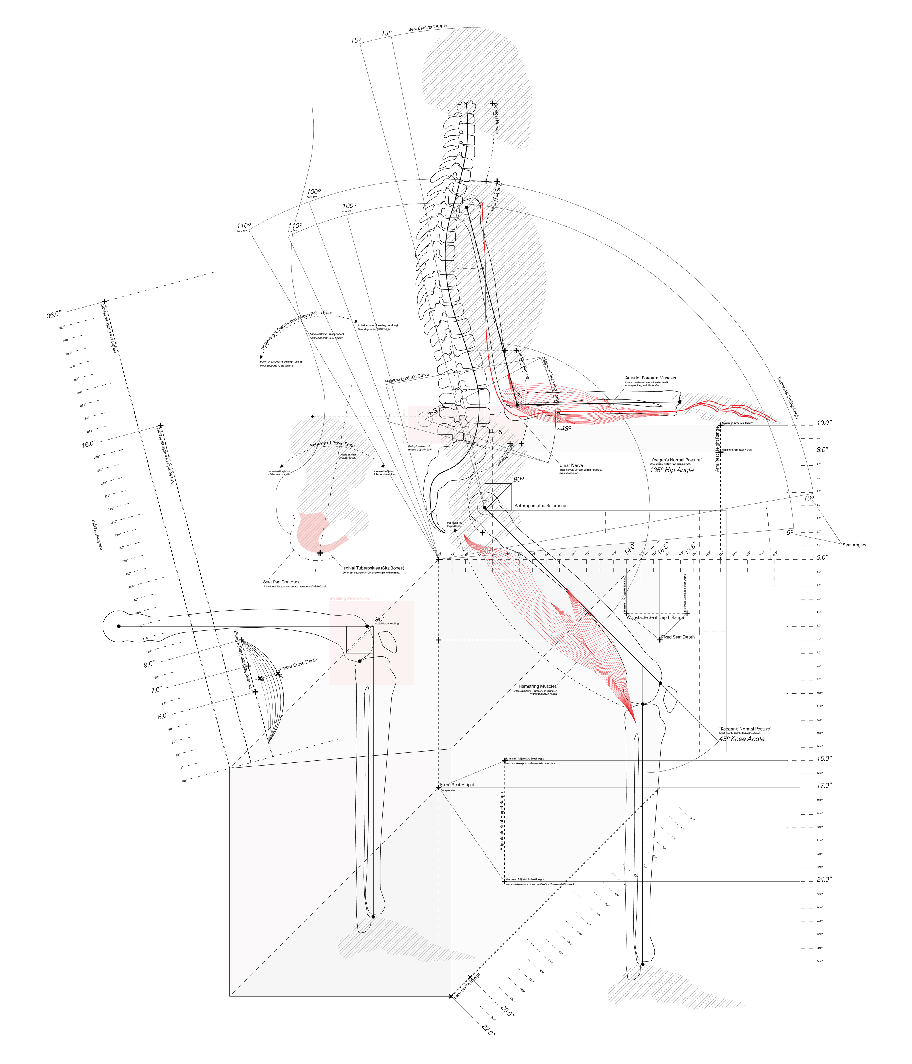 Ergonomics of Seating