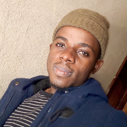 Elvis Ansima - Webflow