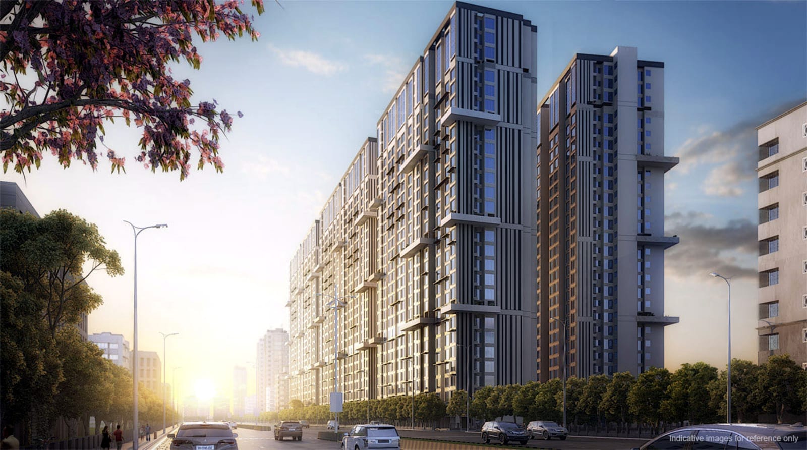 Home - Clancy Global