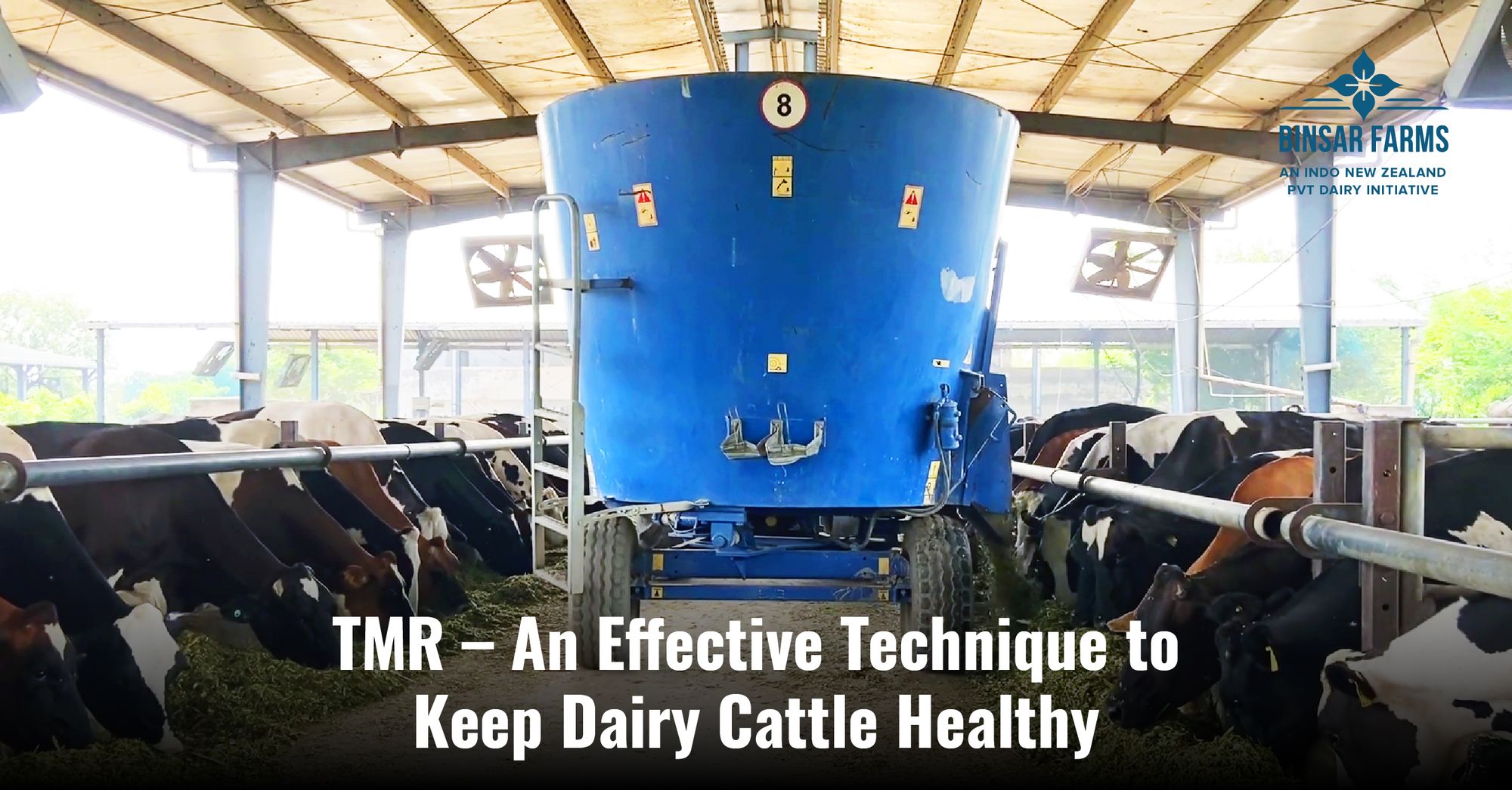 Farm Fresh Cow | Milk Delivery Online | Milk Dairy Near me | Pure ...