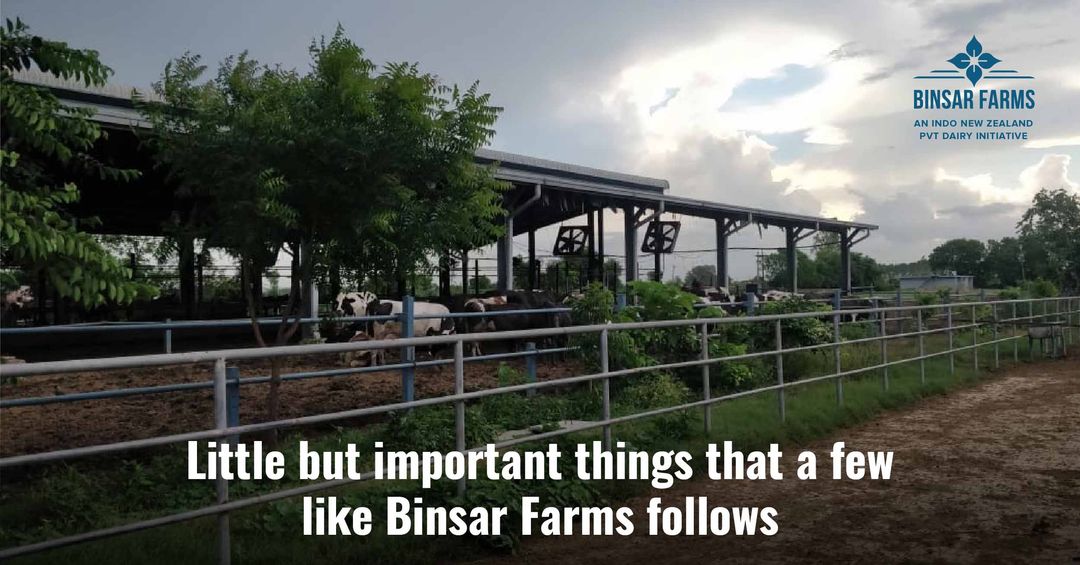 Farm Fresh Cow | Milk Delivery Online | Milk Dairy Near me | Pure ...
