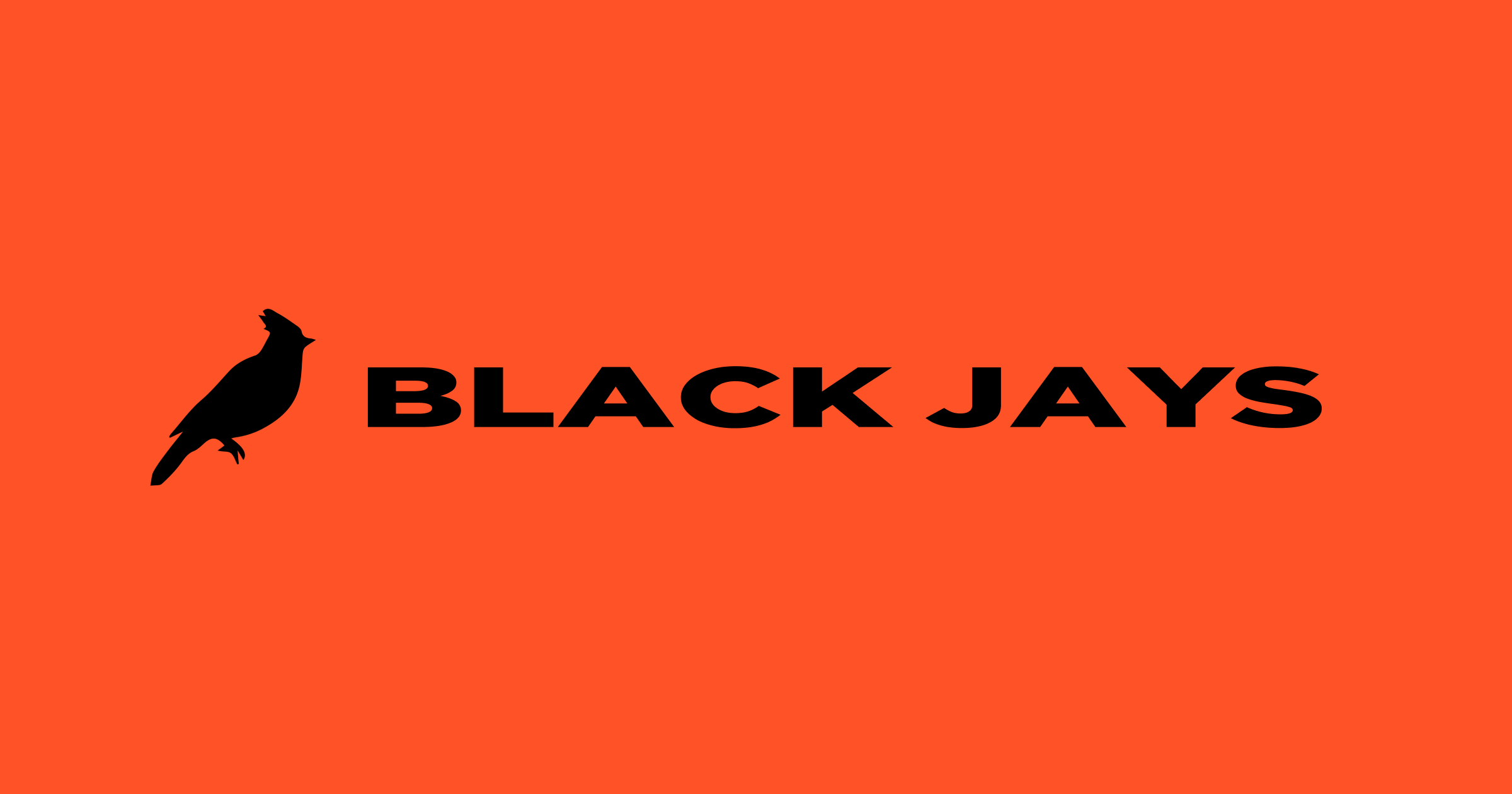 Black Jays Ventures
