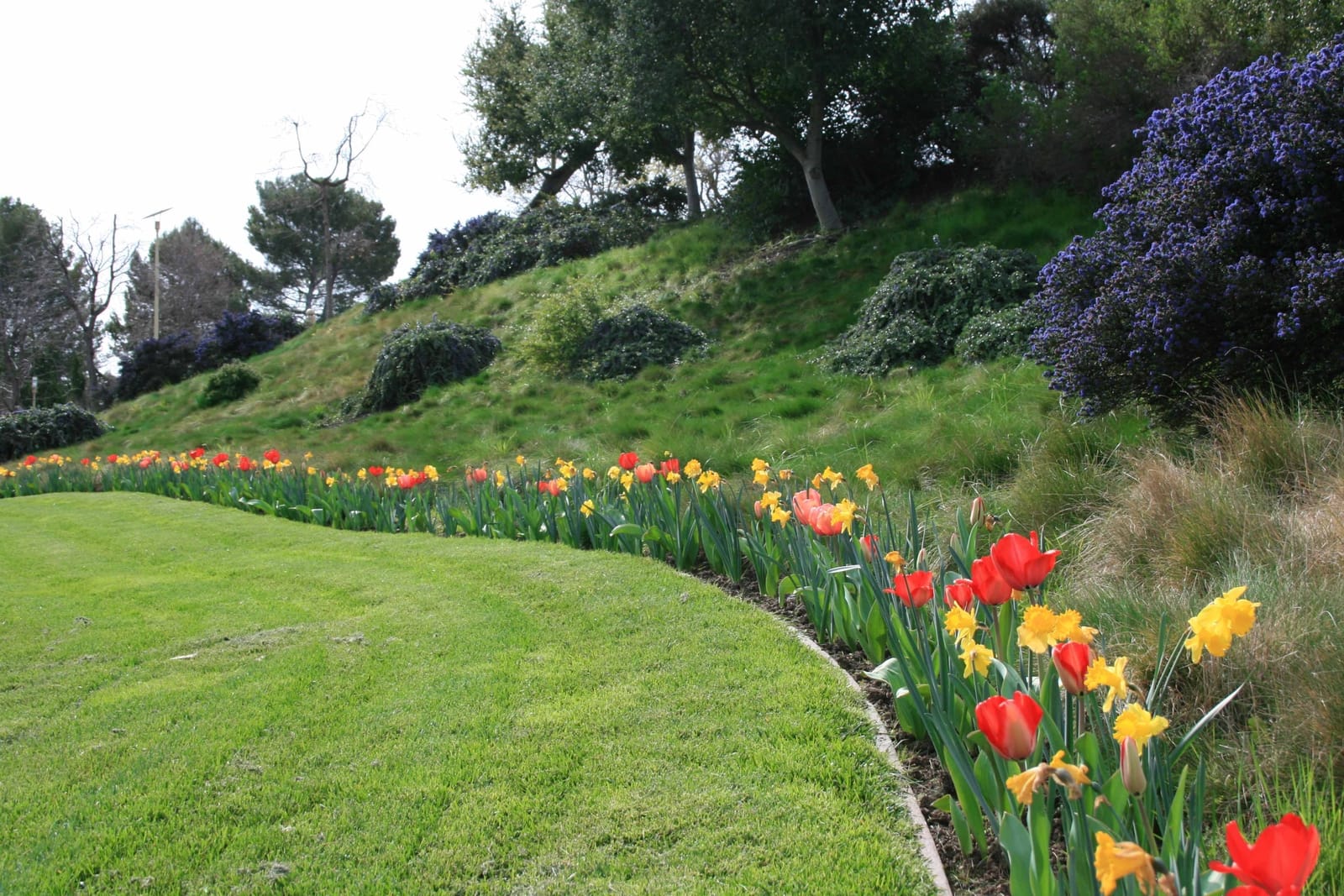 Ecosystems Landscaping