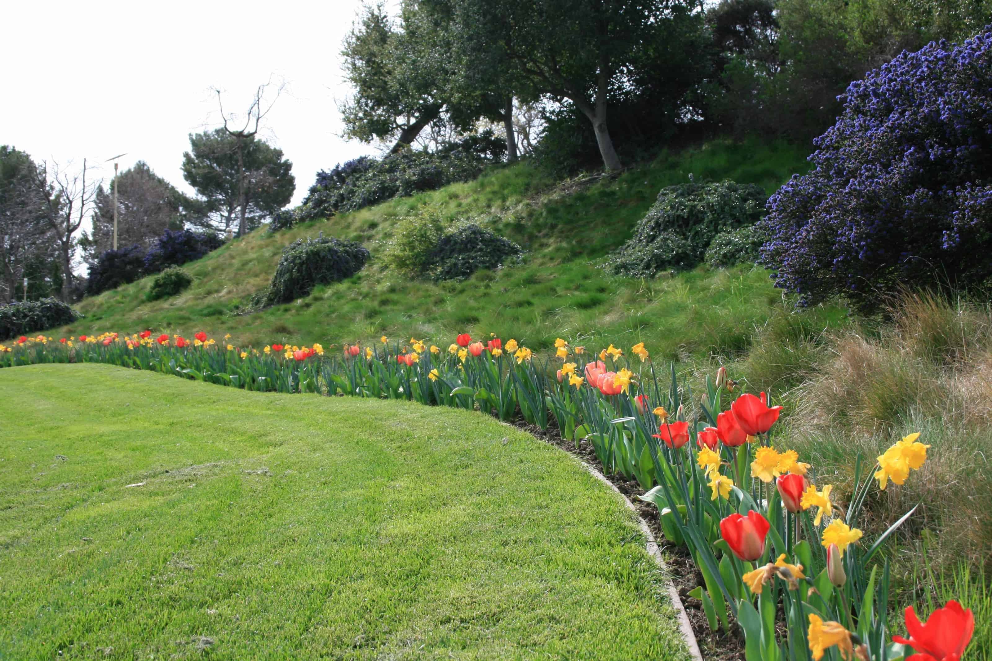 Ecosystems Landscaping