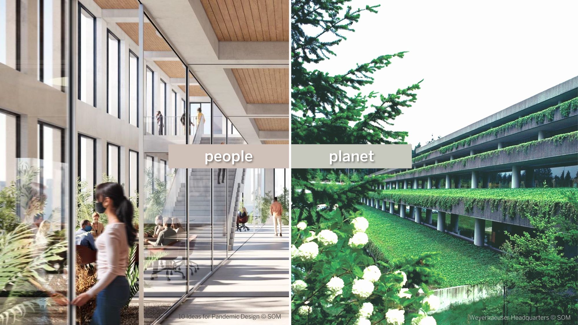 RIBA “Climate Literacy and Mandatory Competencies”