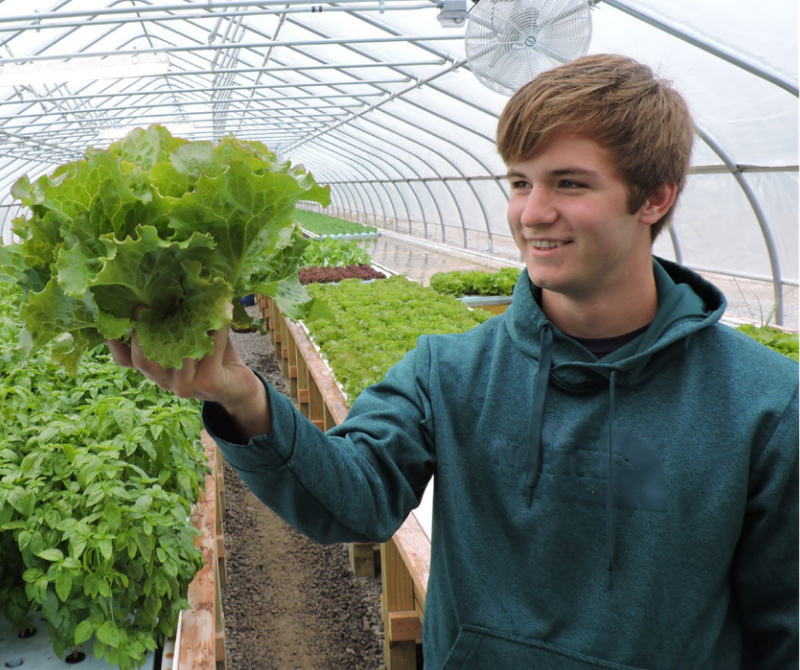 About Springworks Farm