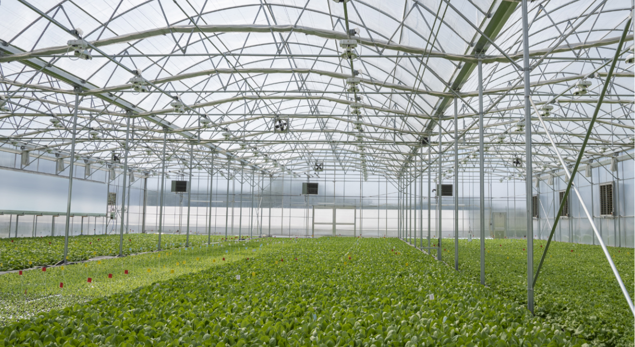 About Springworks Farm