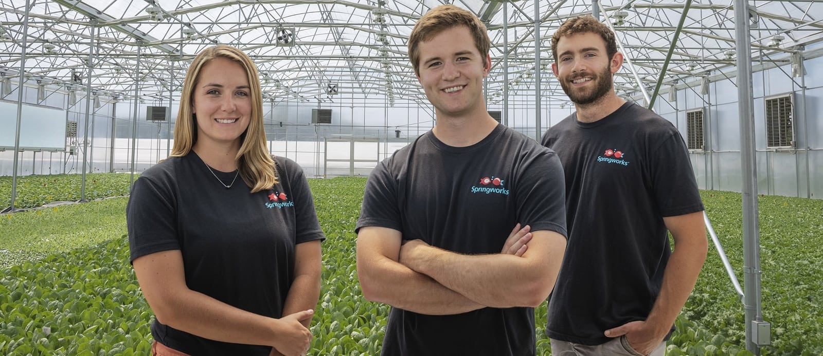 Springworks Farm – the largest aquaponic greenhouse in New England