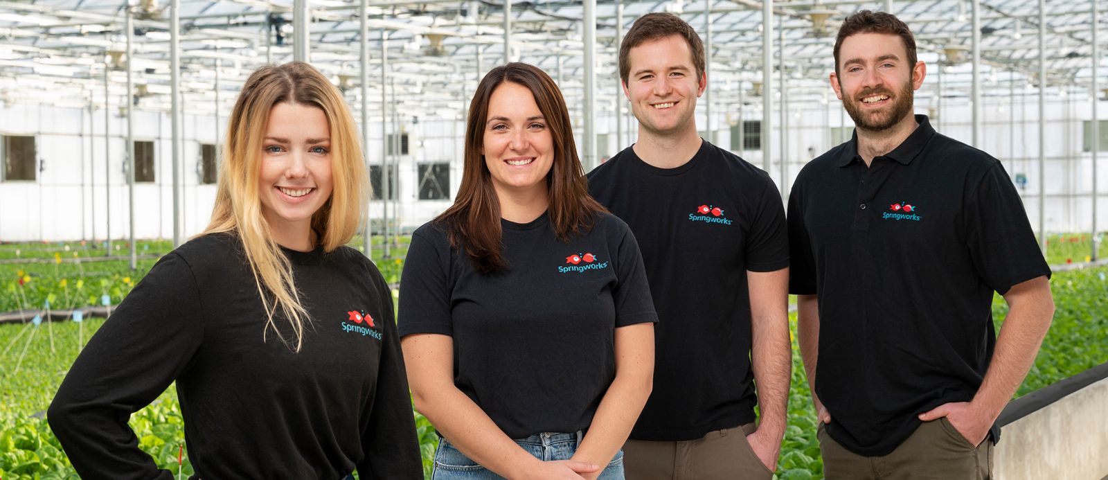 Springworks Farm – the largest aquaponic greenhouse in New England