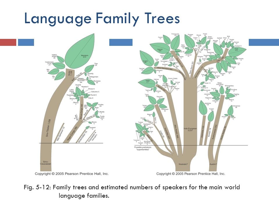 11 Easy Languages For Non-Native English Speakers to Learn