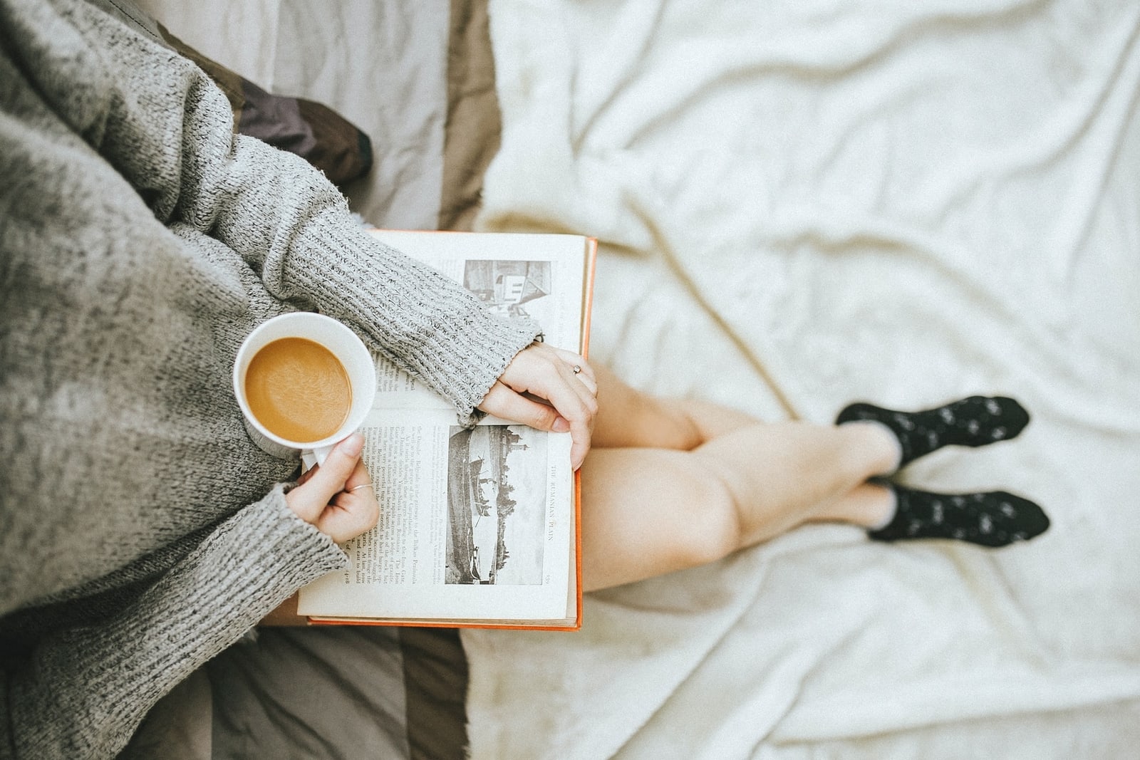 Top 7 Easiest Languages To Learn 7 May Surprise You