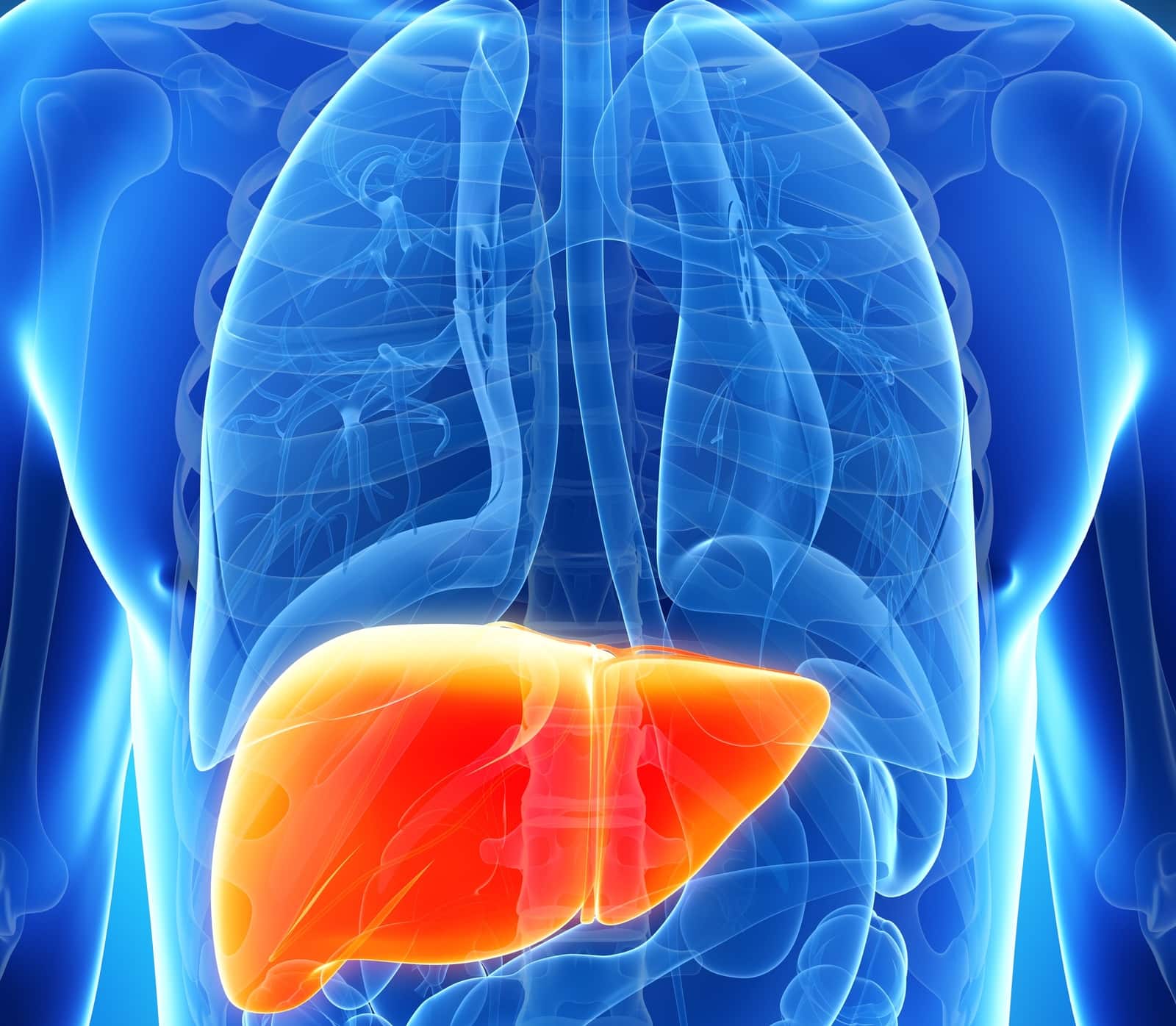 How Long Should I Be On The Pre op Diet Before My Gastric Sleeve 