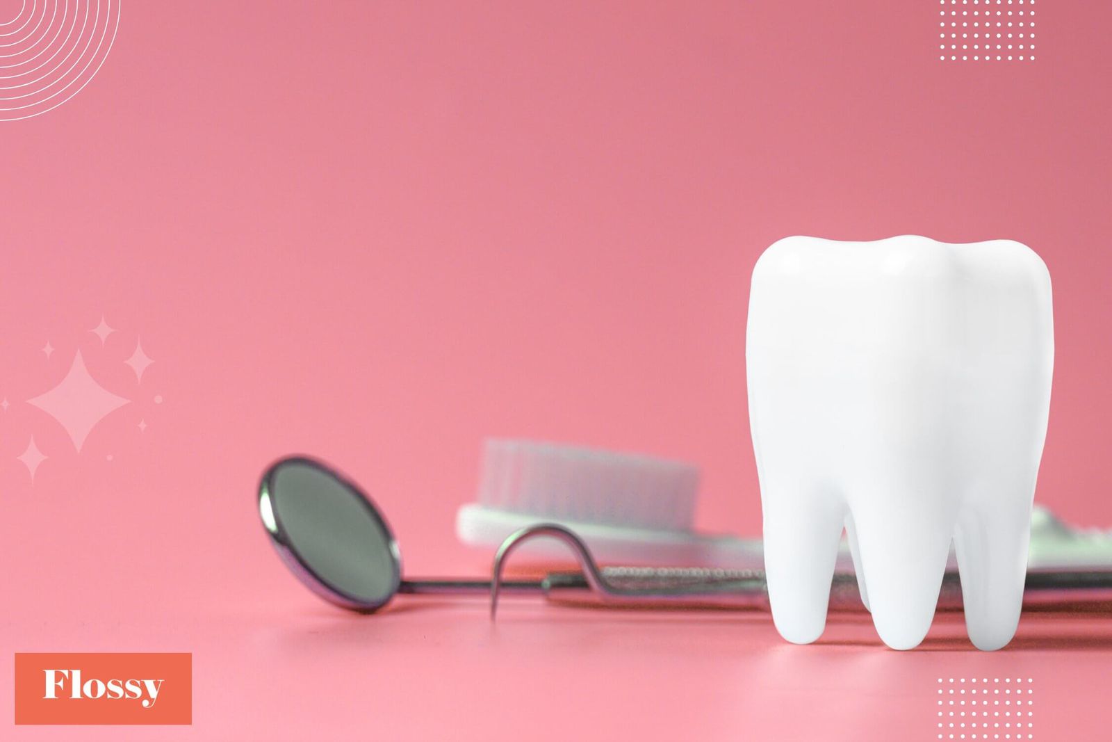 What Are Molars & What Is Their Function?