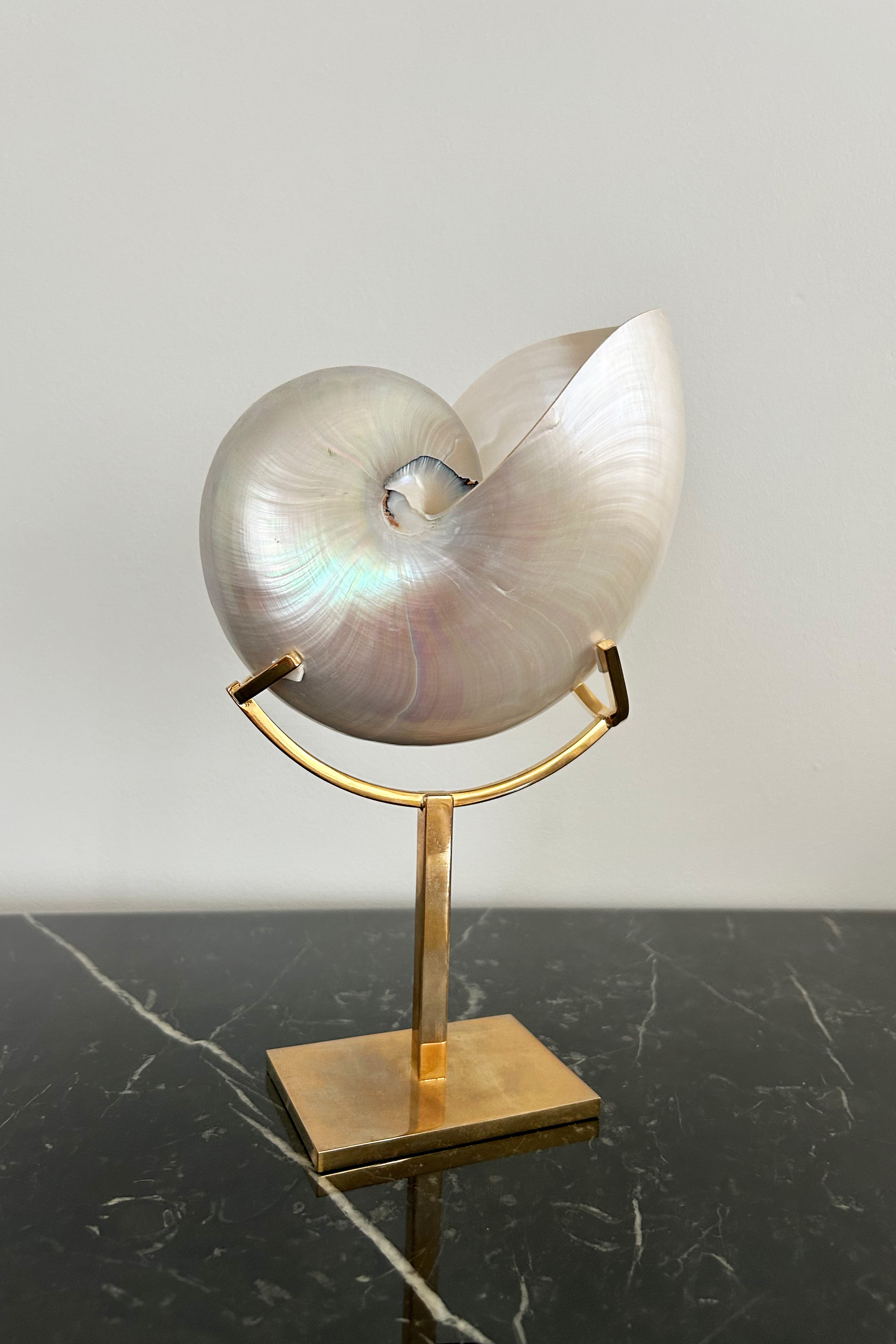 Large Nautilus Shell On Brass Stand | Vintaggios | Curated Vintage ...
