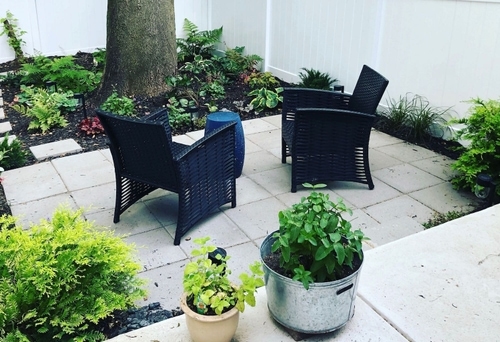 Philadelphia Landscape Design | Flower Powered | Home