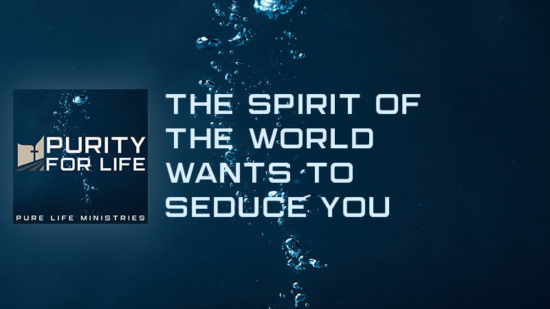 #378 - The Spirit of the World Wants to Seduce You