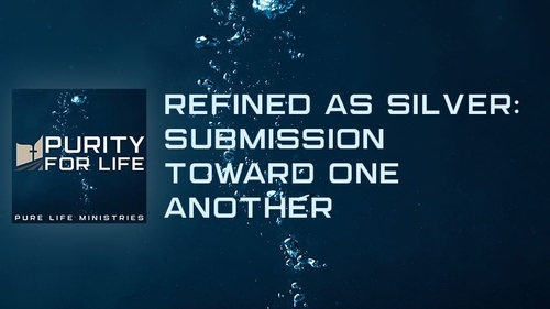 Pure Life Ministries | Start Your Journey to Freedom