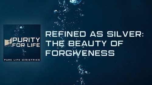 Pure Life Ministries | Start Your Journey to Freedom