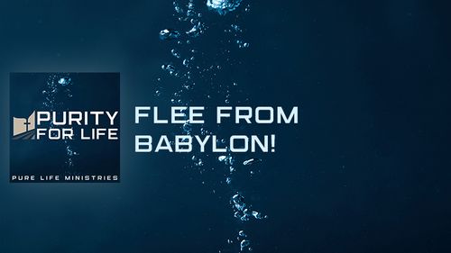 Pure Life Ministries | Start Your Journey to Freedom