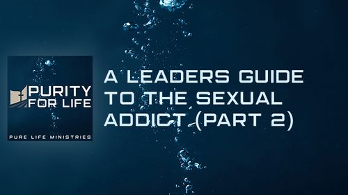 Pure Life Ministries | Start Your Journey to Freedom